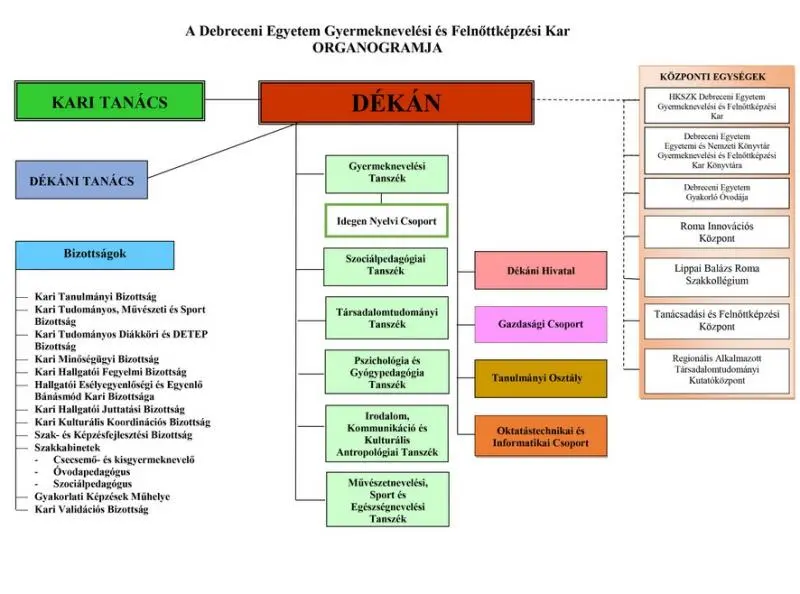 Funkcionális organogram | Gyermeknevelési és Gyógypedagógiai Kar